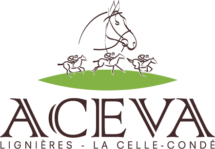 Horses & Competitions