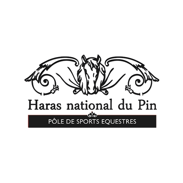 Horses & Competitions